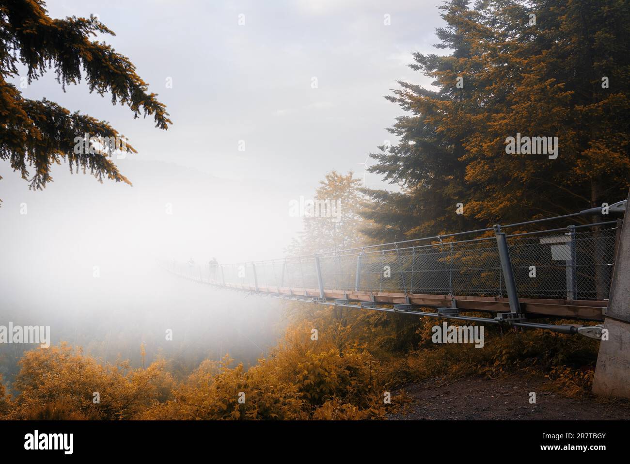 The suspension bridge Geierlay in the autumn at fog, Germany Stock ...