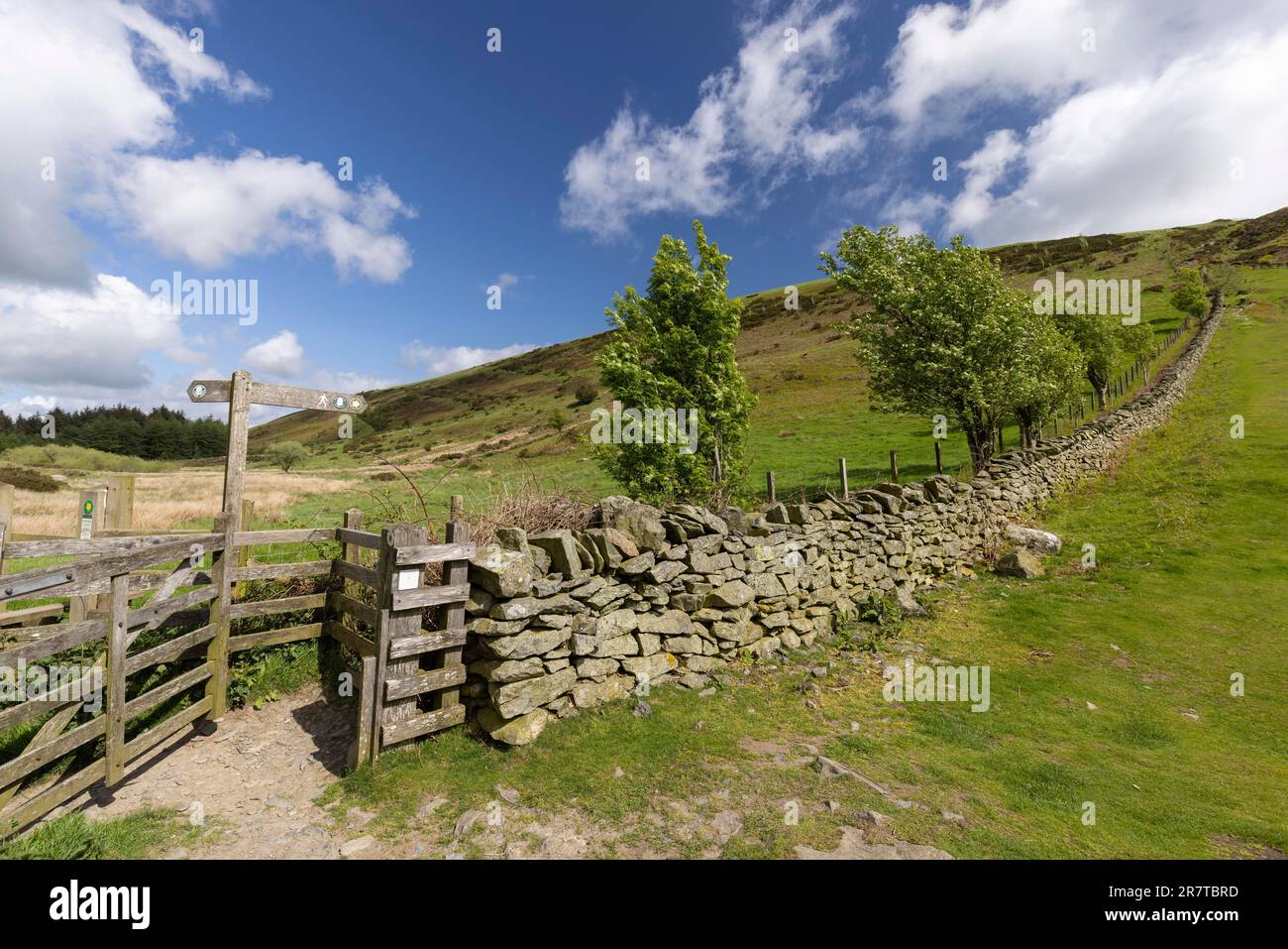Dry stone wall and signpost, Moel Arthur Car Park, start of footpath to ...