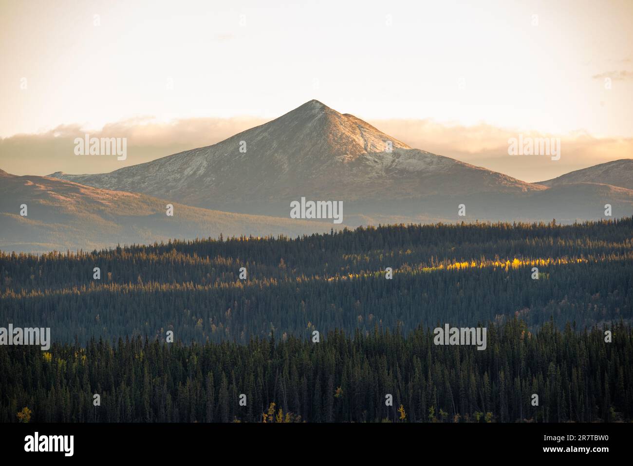 An iconic fall Canadian scene of mountains with yellow autumn colors in ...