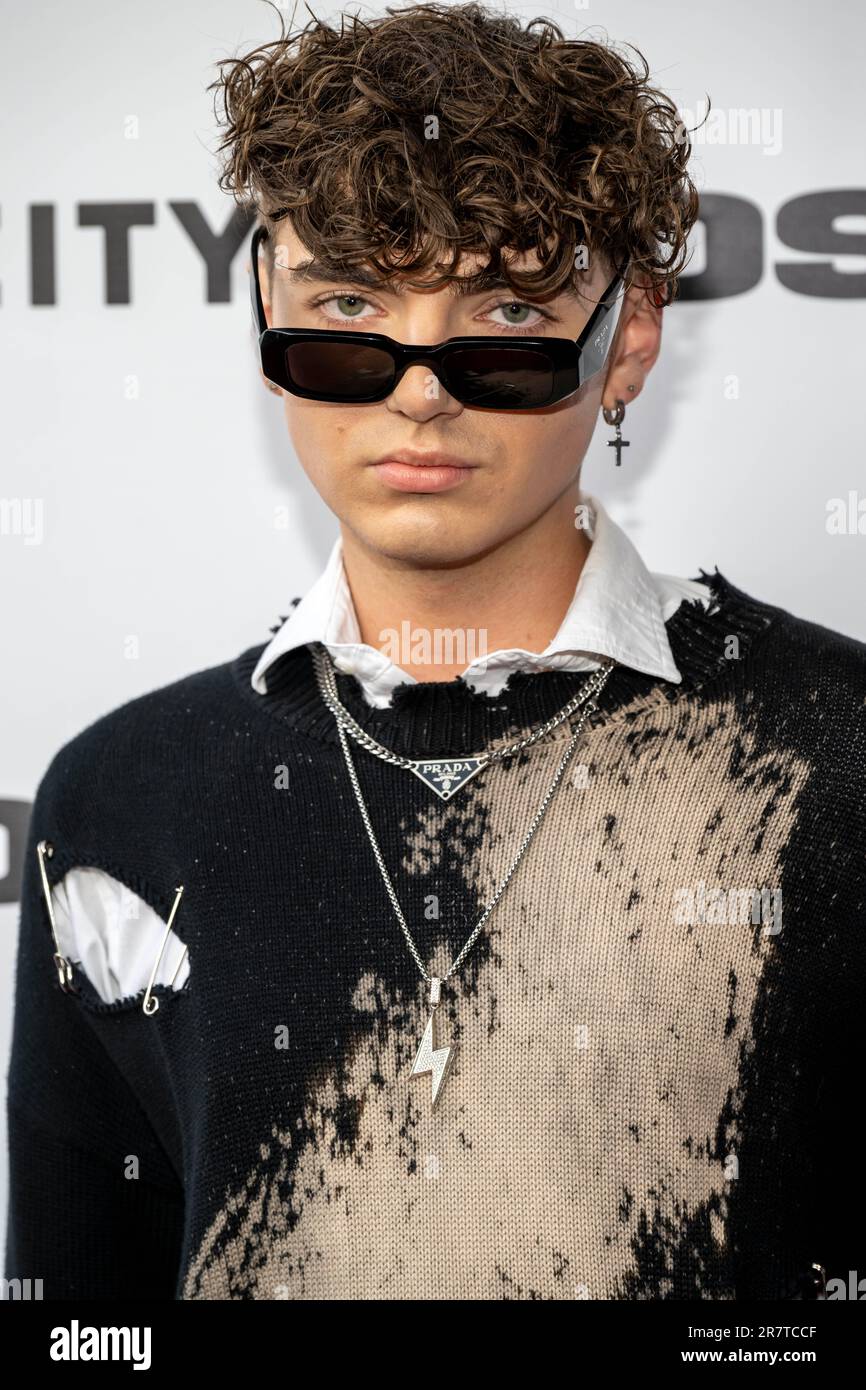 Los Angeles, USA. 16th June, 2023. Actor Matthew Sieverin attends ...