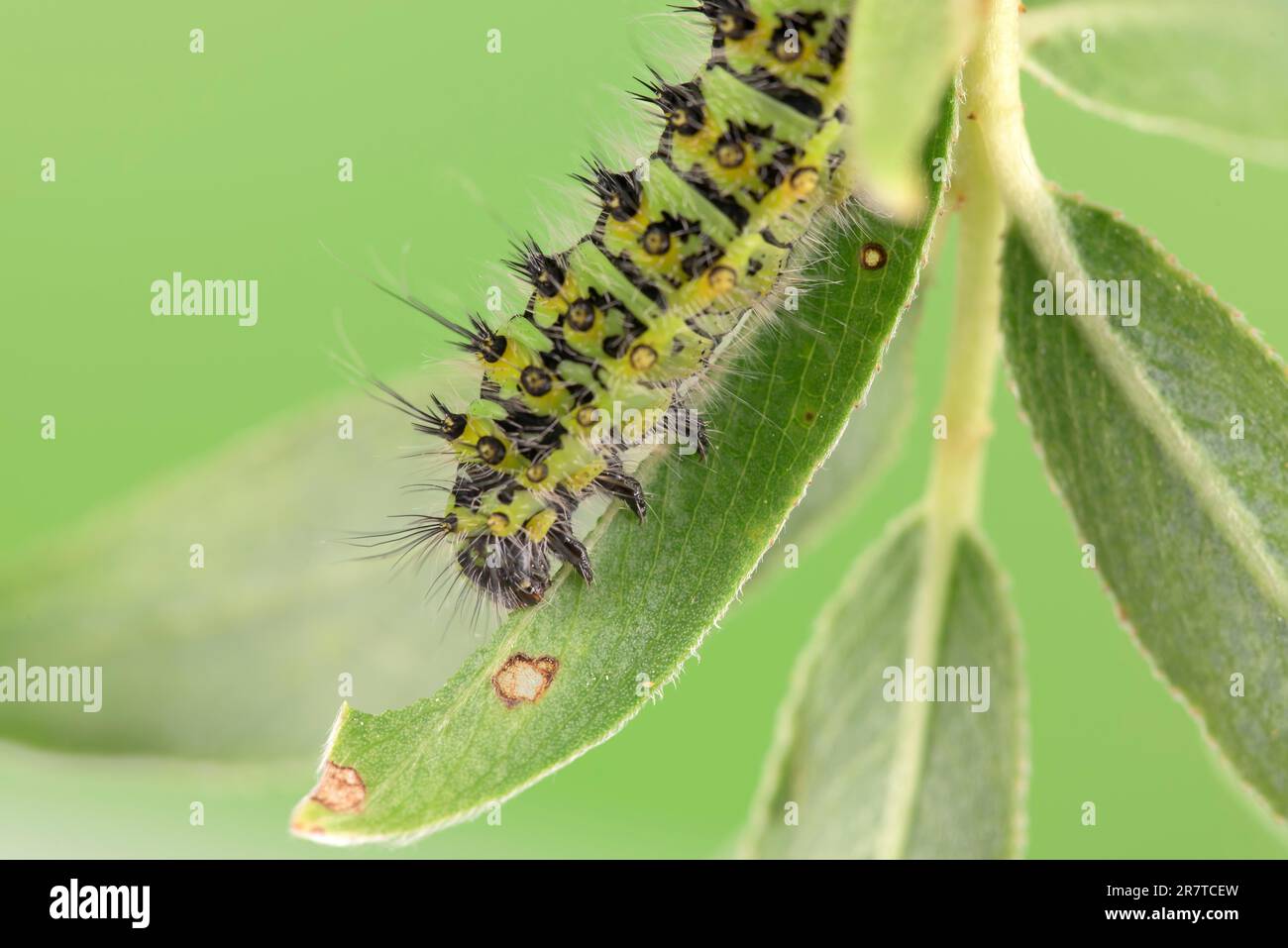 3rd lower stage hi-res stock photography and images - Alamy