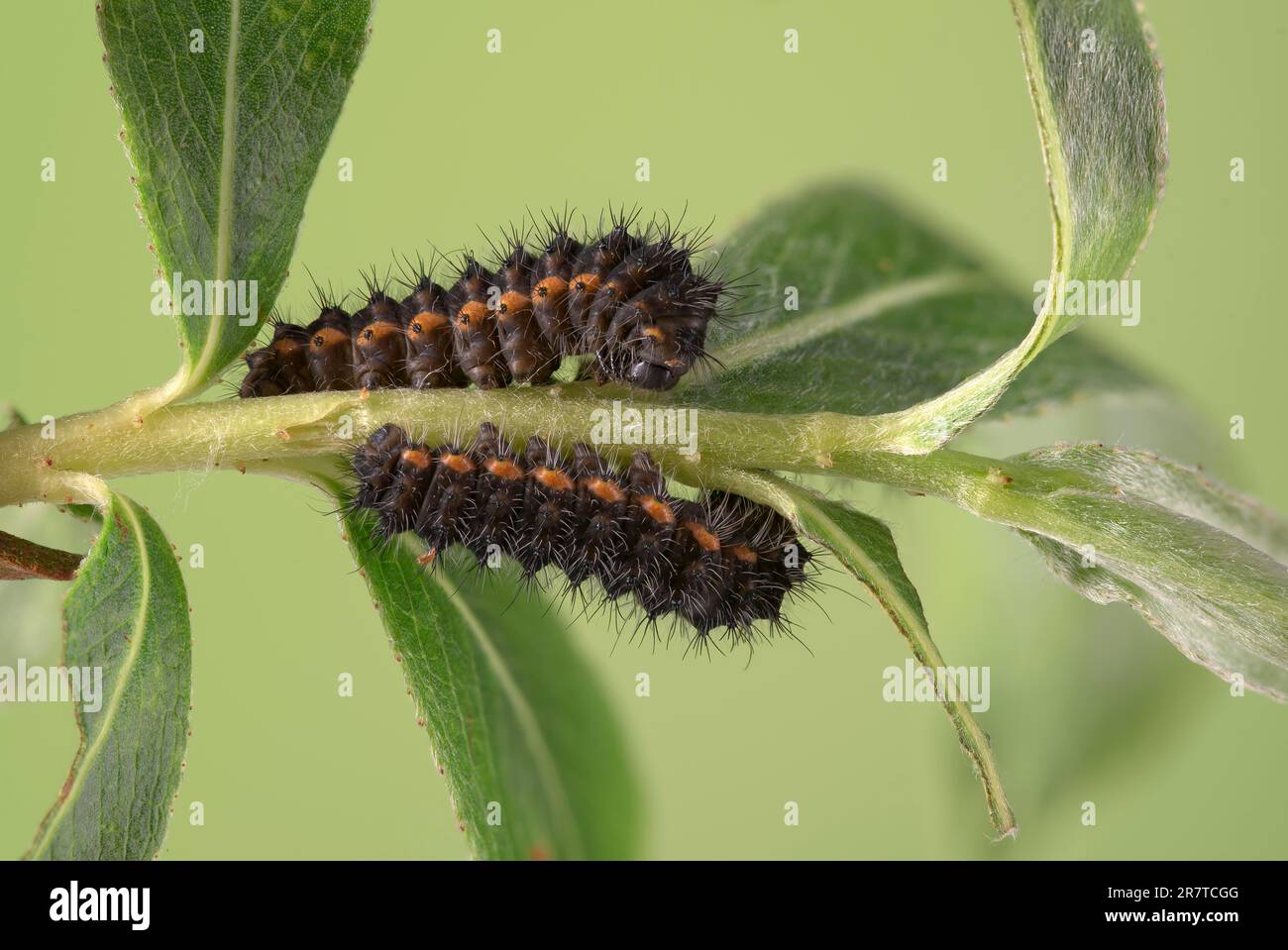 3rd lower stage hi-res stock photography and images - Alamy