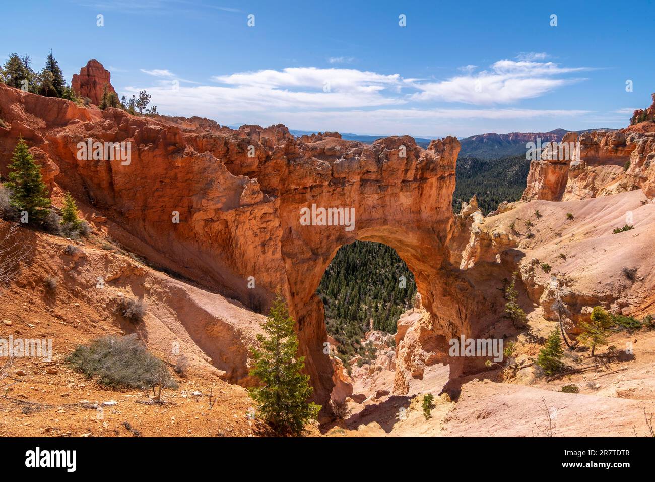 Rock arch at Natural Bridge viewpoint, Bryce Canyon National Park, Utah ...