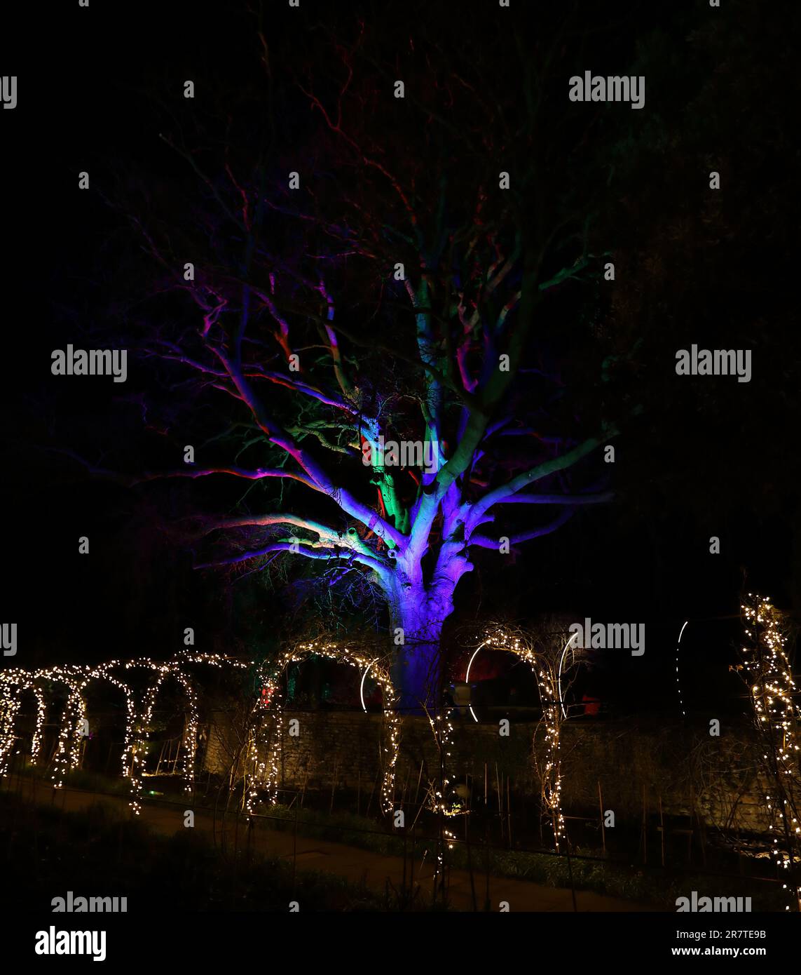 Lit lights woods hi-res stock photography and images - Alamy