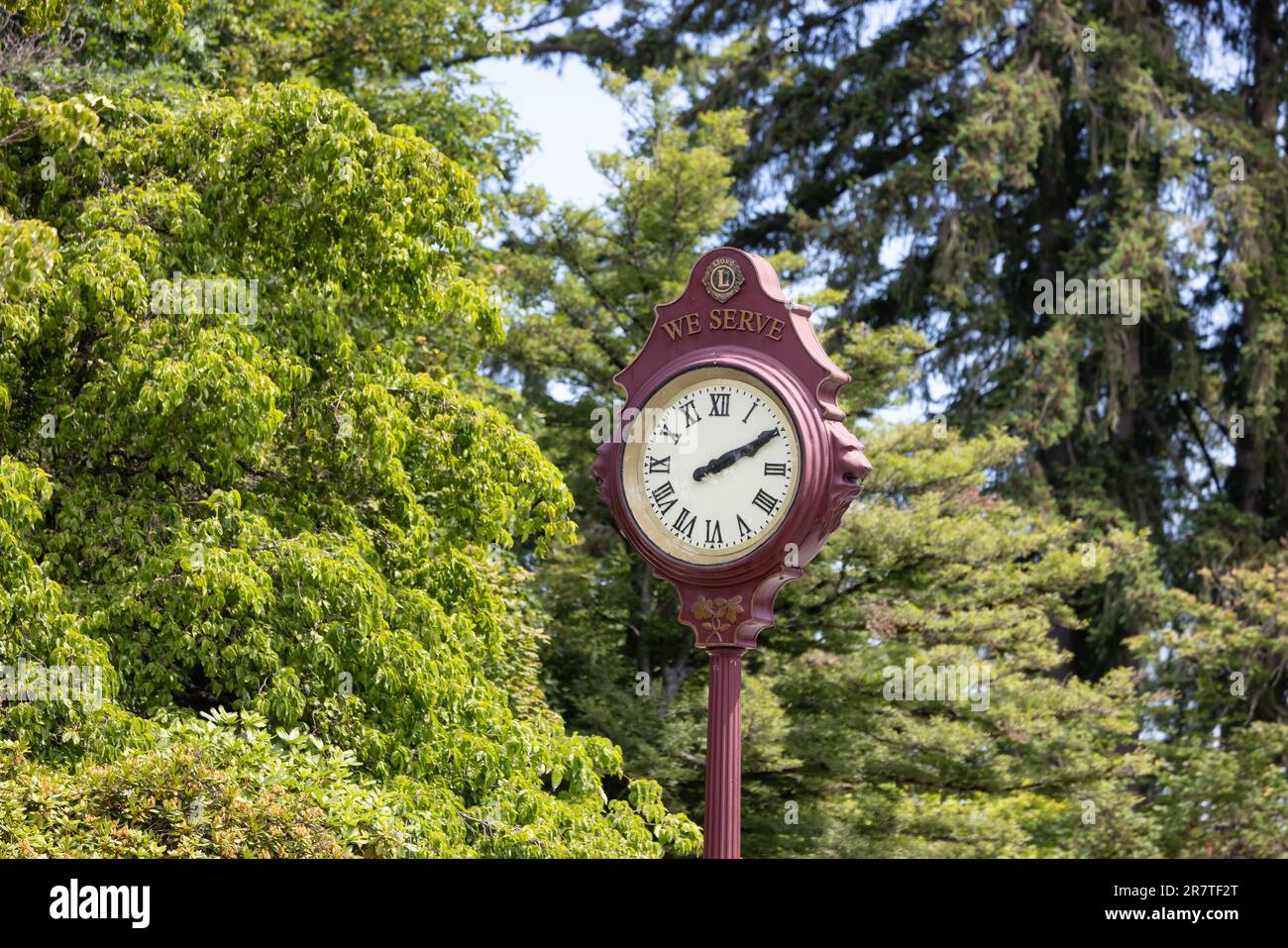 Lion Clock in Queen Elizabeth Park Stock Photo - Alamy