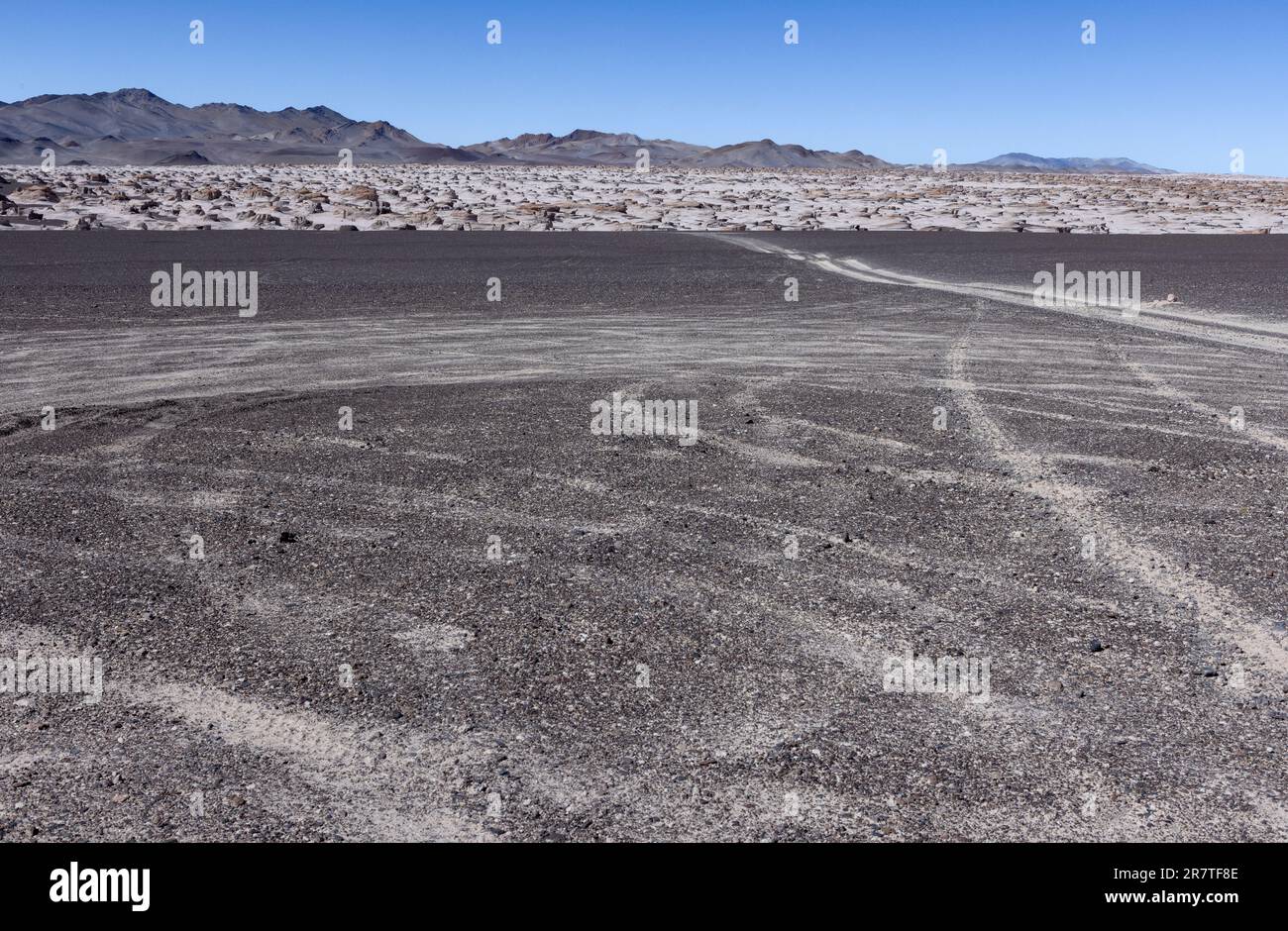 Puna - off road adventure through a bizarre but beautiful landscape ...