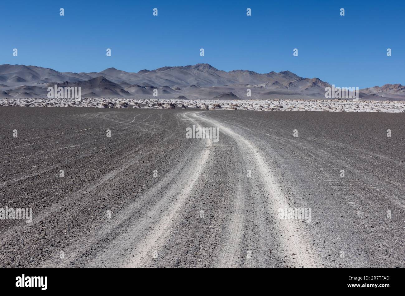 Puna - off road adventure through a bizarre but beautiful landscape ...