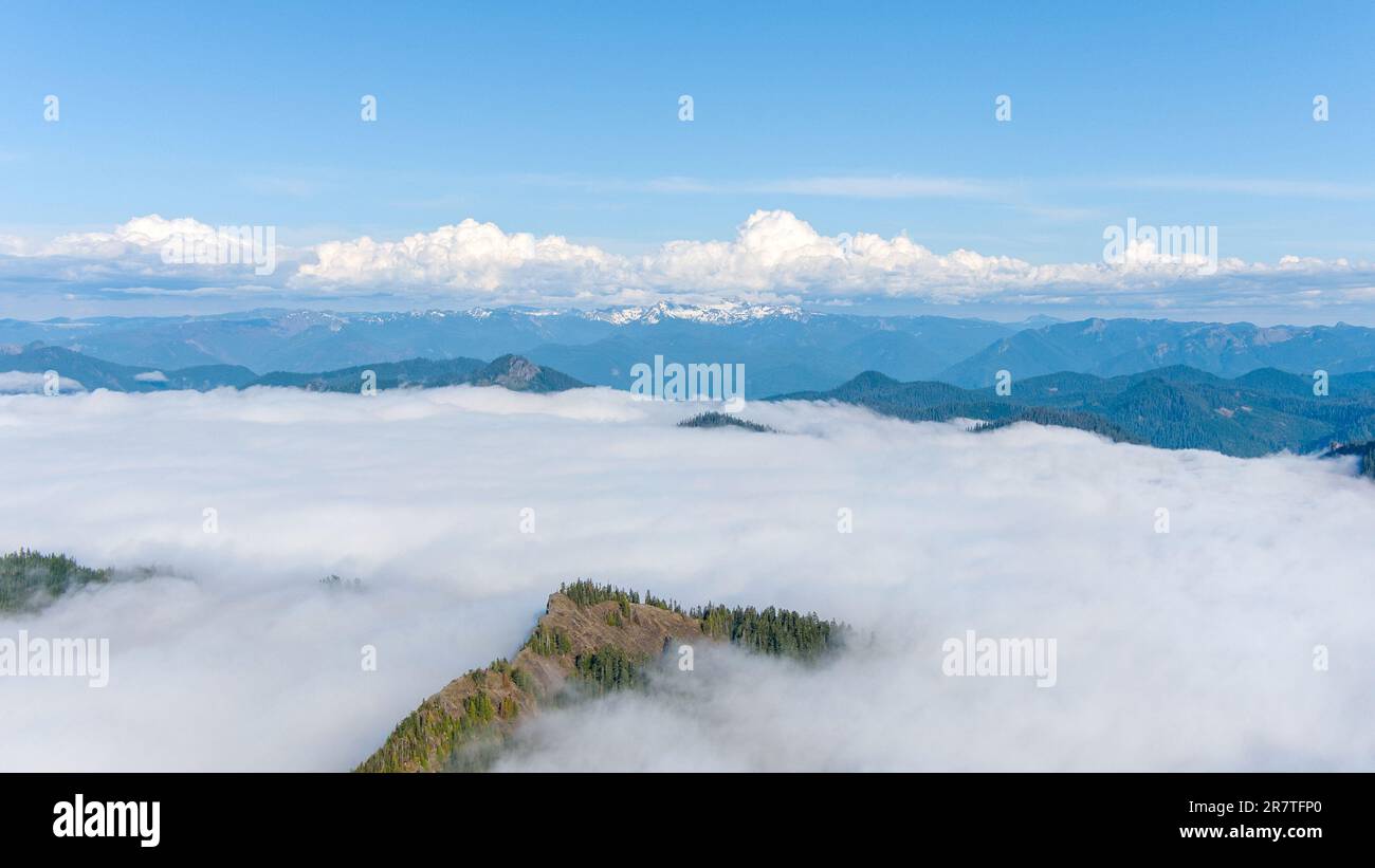 Mount Rainier and High Rock Lookout in June Stock Photo - Alamy