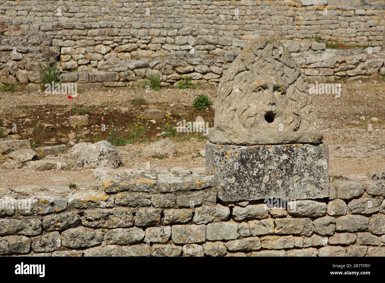 Celtic face hi-res stock photography and images - Alamy