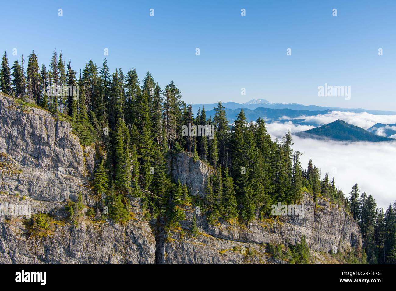 Mount Rainier and High Rock Lookout in June Stock Photo - Alamy