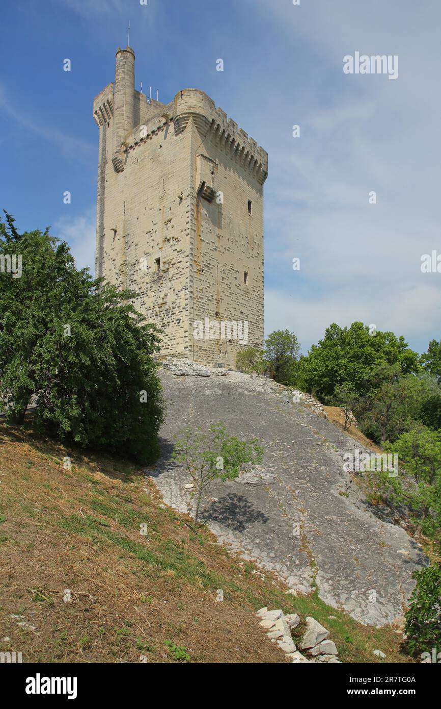 Historic Tour Philippe le Bel on a rock, defence defence tower, tower ...