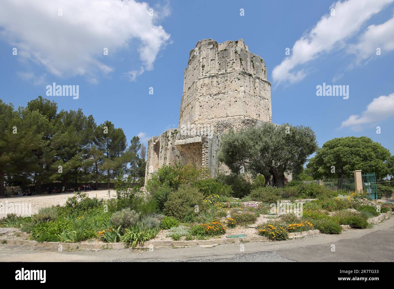 Ancient Roman monument and tower Tour Magne, Jardins de la Fontaine ...