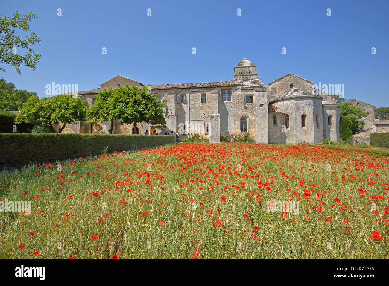 Monastery complex with poppy field Saint-Paul-de-Mausole, Church, St ...