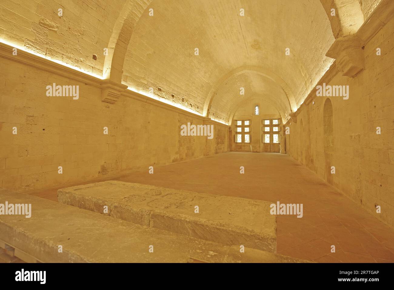 Interior view of the Romanesque Cloitre St-Trophime, room, hall, empty ...