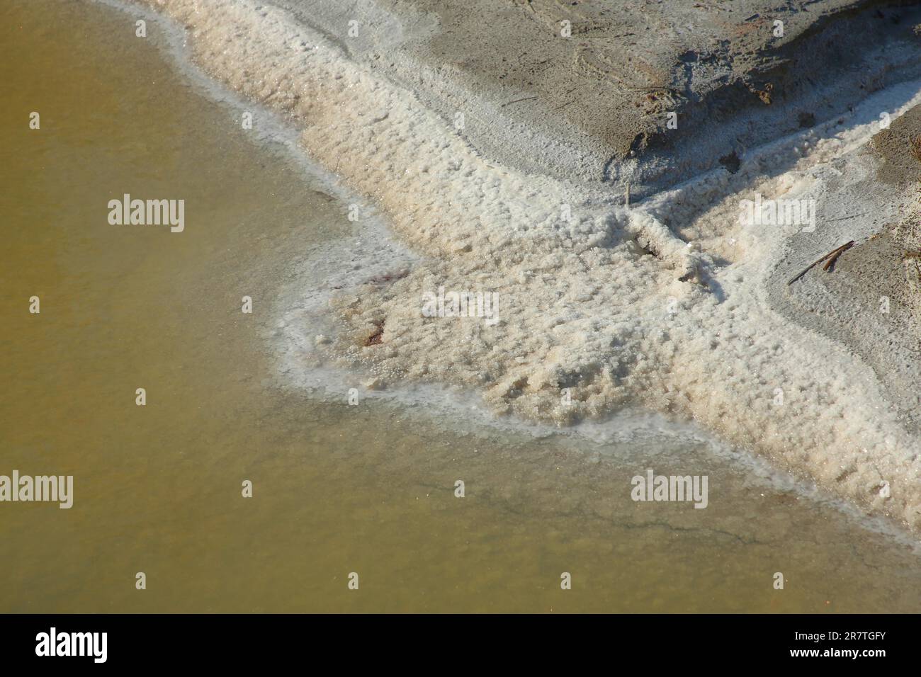 Salt deposit on the bank of the water, detail, nature, soil, salt, salt ...