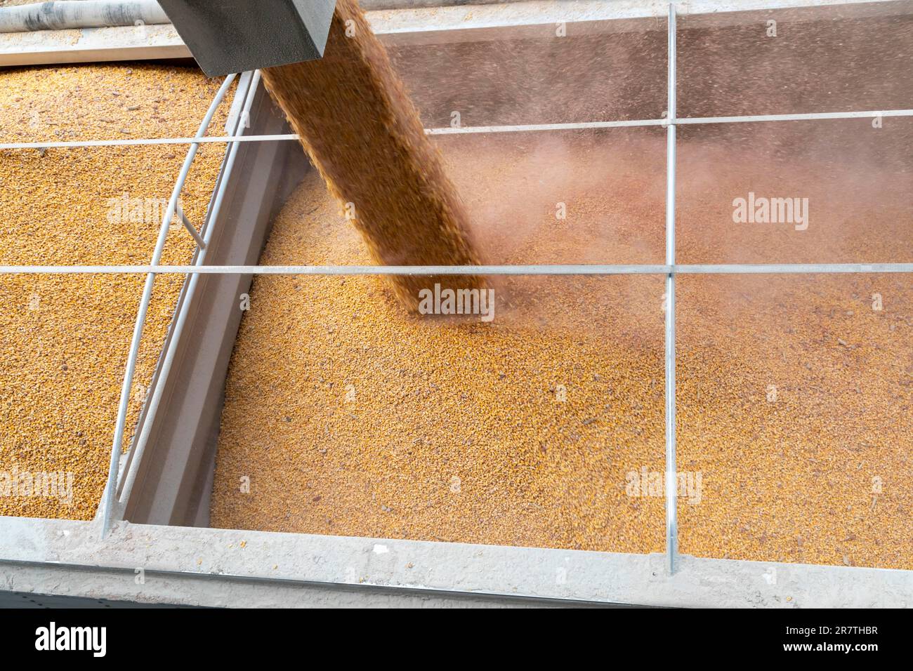 Martin, Michigan, Corn is loaded on a truck at a grain storage silo in ...