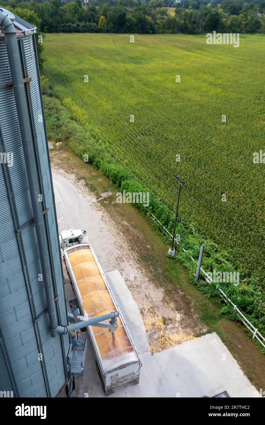 Martin, Michigan, Corn is loaded onto a truck at a grain storage silo ...