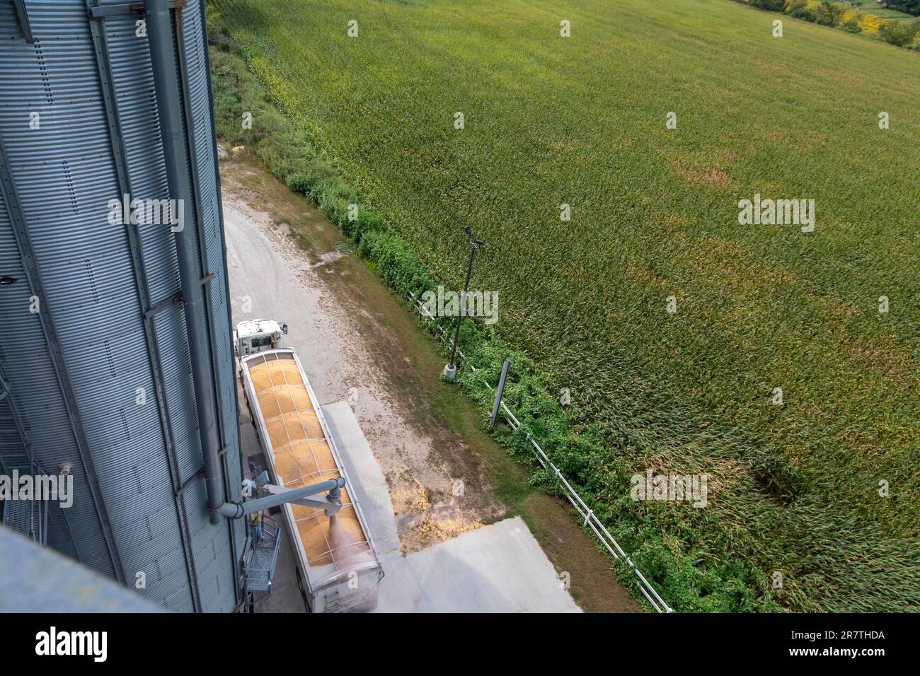 Martin, Michigan, Corn is loaded onto a truck at a grain storage silo ...
