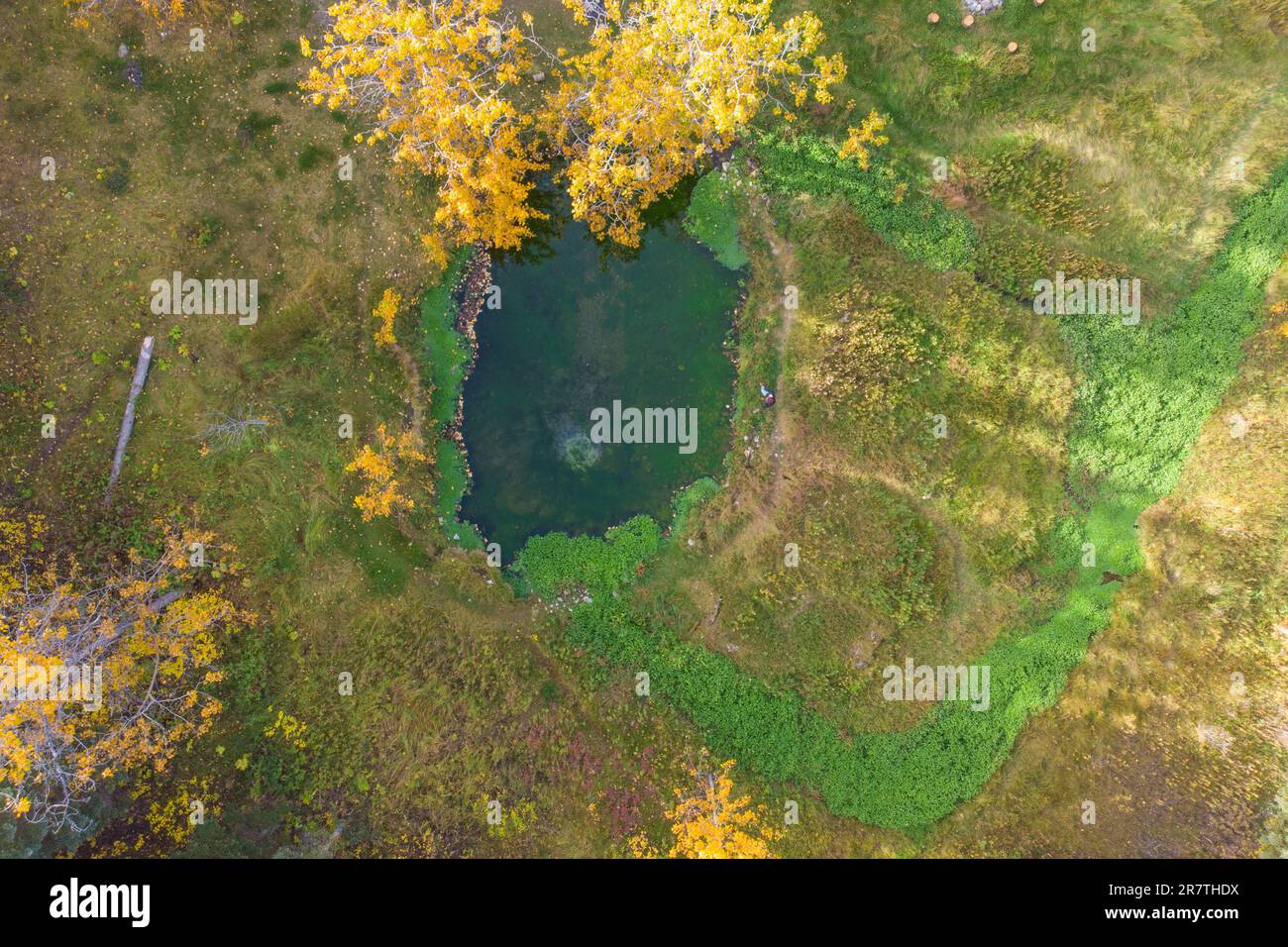 Stunning fall scenery in northern Canada during autumn, with Warm Bay ...