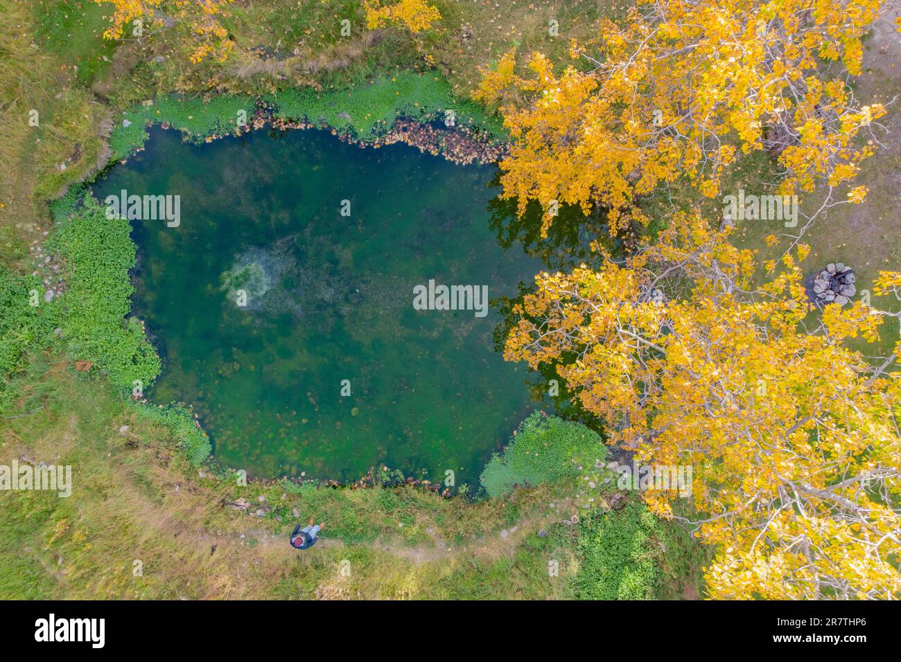 Aerial view astonishing green trees hi-res stock photography and images ...