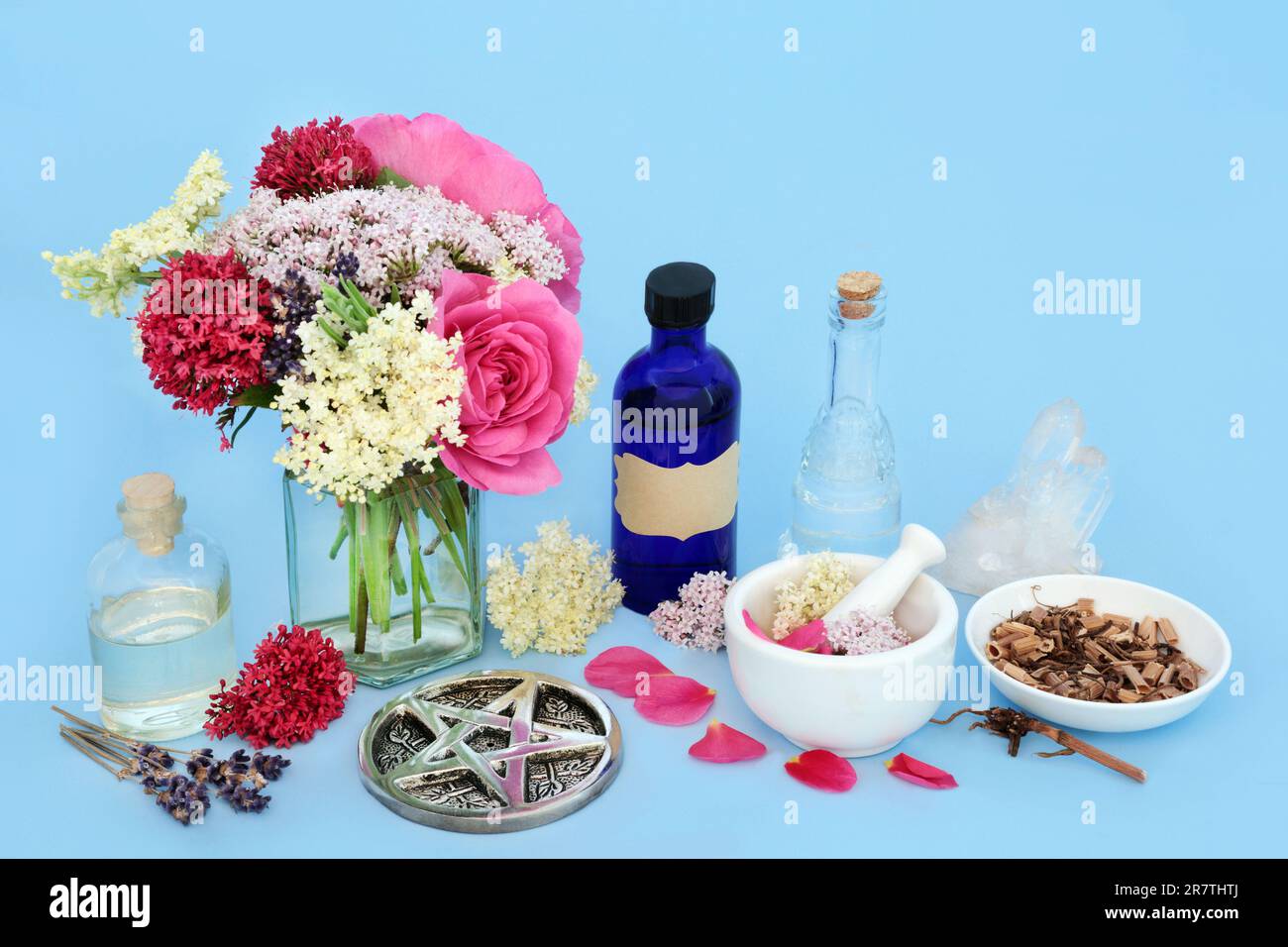 Adaptogen plant flower hi-res stock photography and images - Alamy