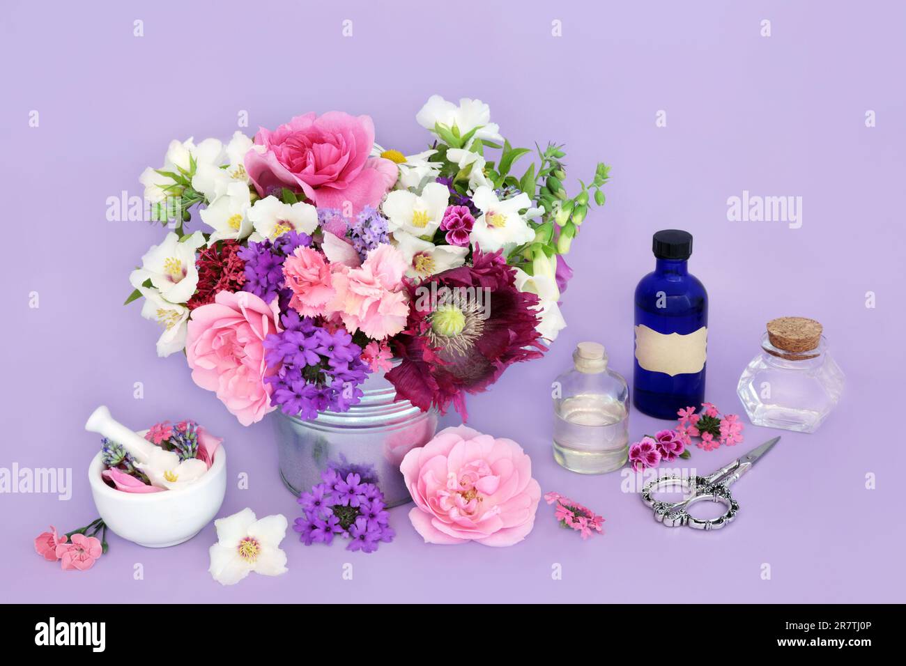 Medicinal flowers and herbs for naturopathic herbal medicine. Flower ...