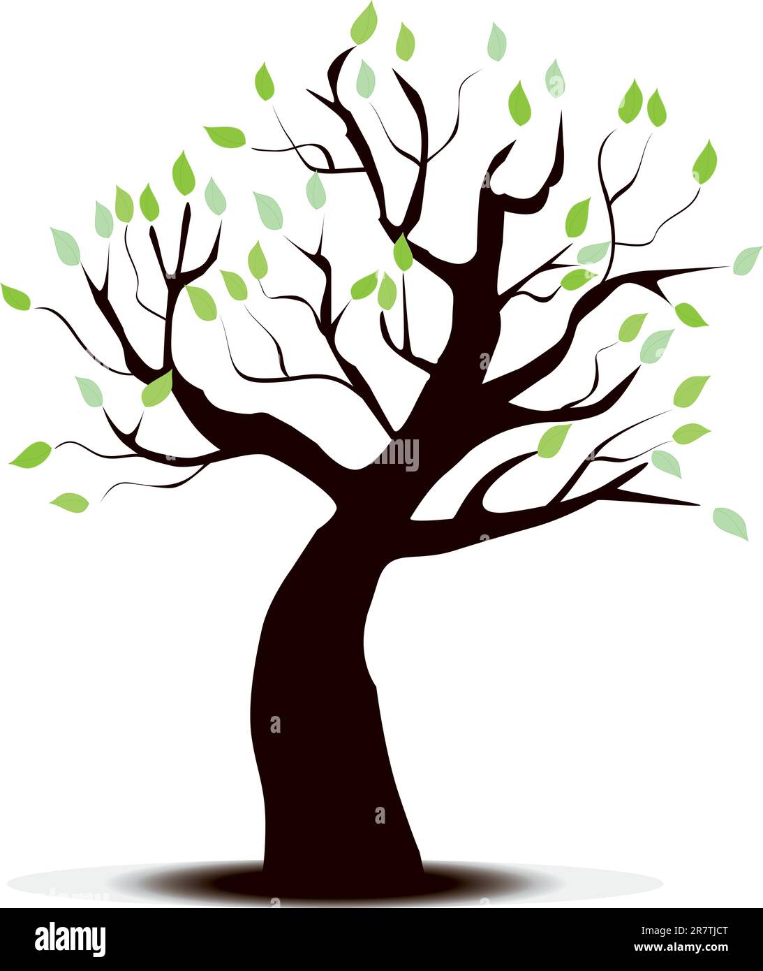 Vector illustration of a tree Stock Vector Image & Art - Alamy
