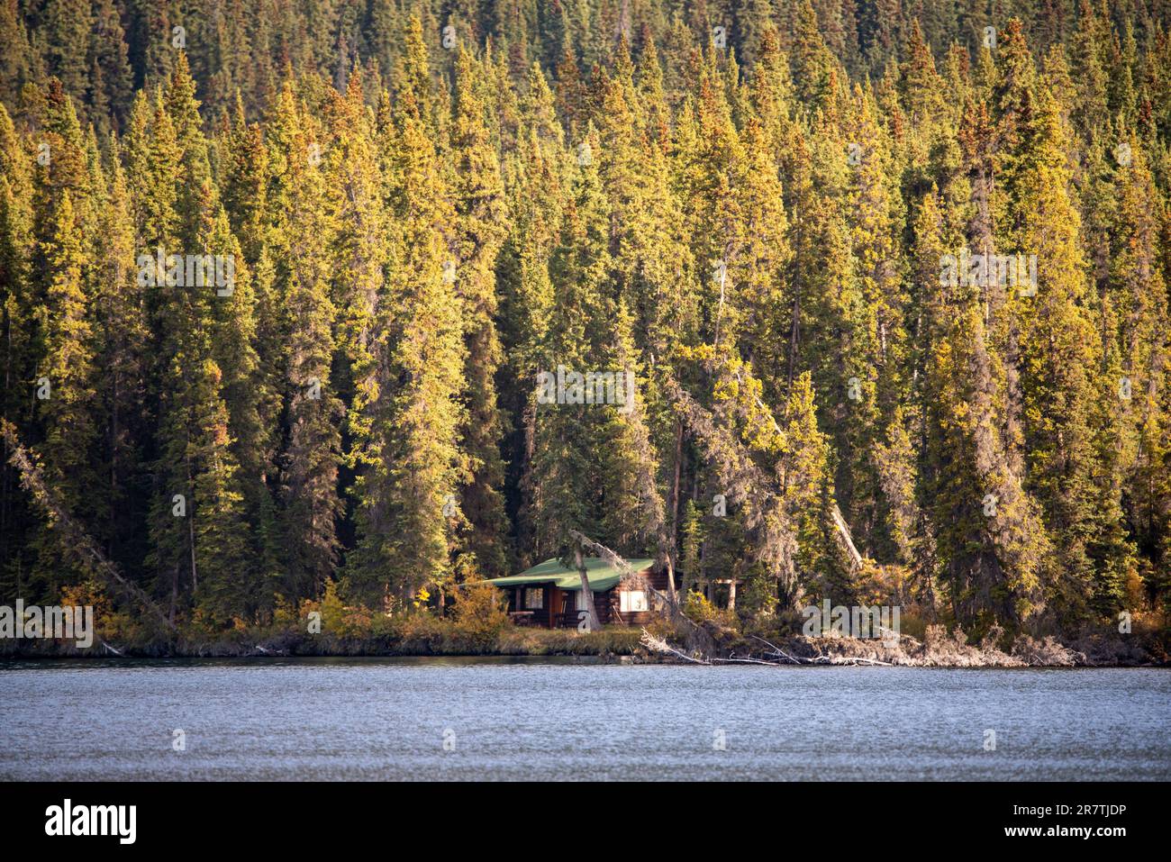 Abandoned log cabin in the wilderness fall, autumn colored woods of ...