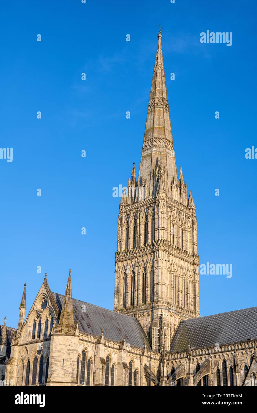 The west facade, screen facade with the 123 m high and Britain's ...