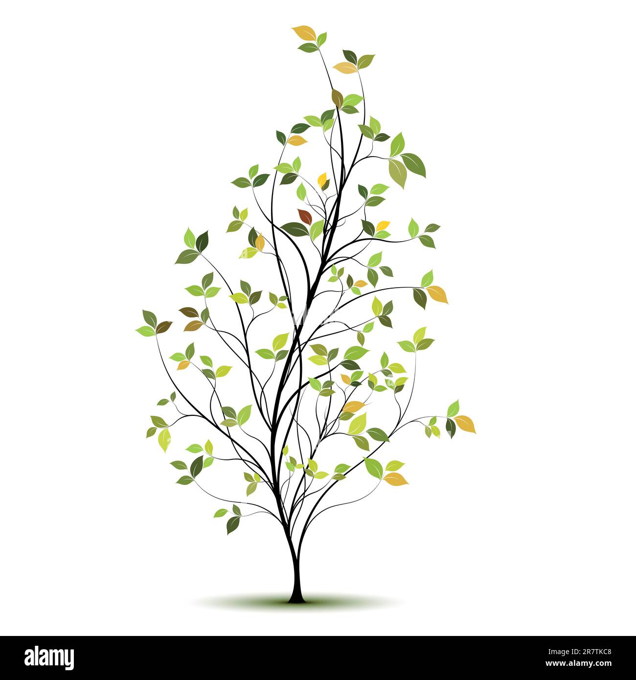 Green tree silhouette hi-res stock photography and images - Alamy
