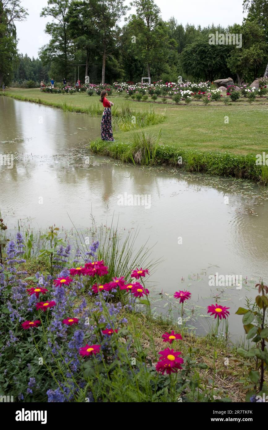 Different colored peonies hi-res stock photography and images - Alamy