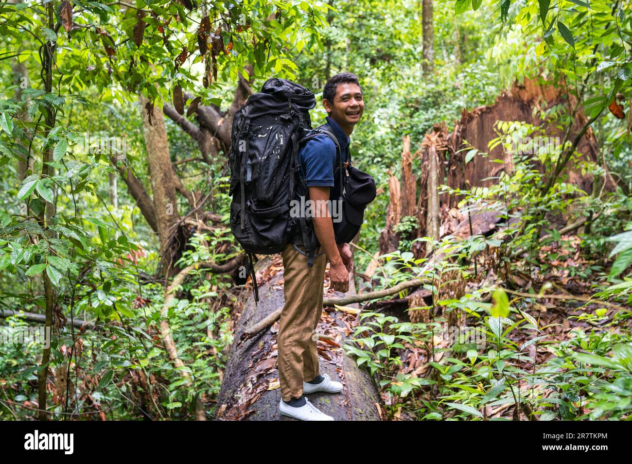 The Gunung Leuser National Park as part of the tropical Rainforest ...