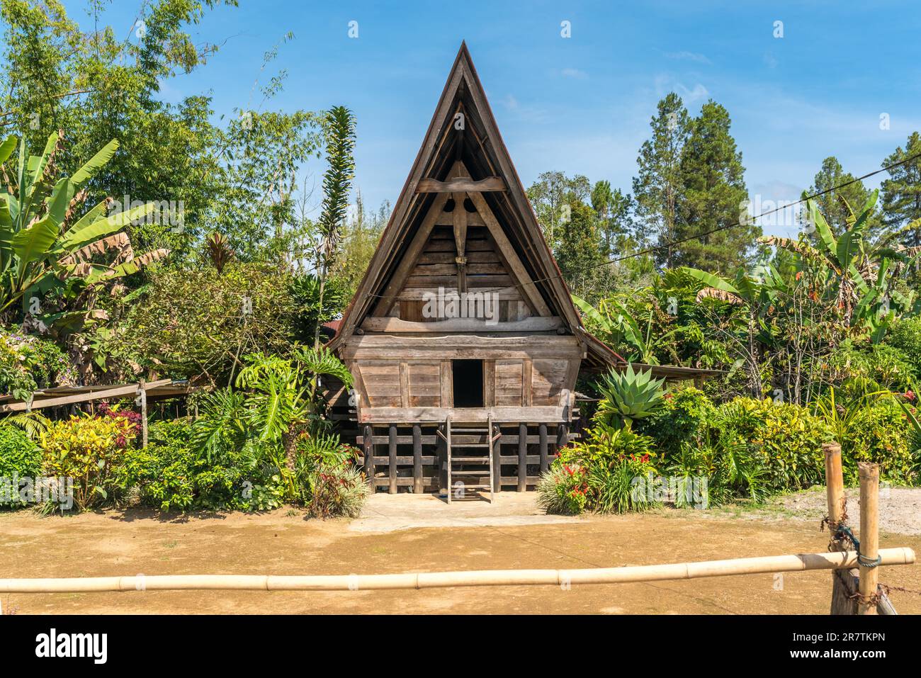 Traditional Batak house, in Indonesian called Rumah Bolon or Jabu, are ...