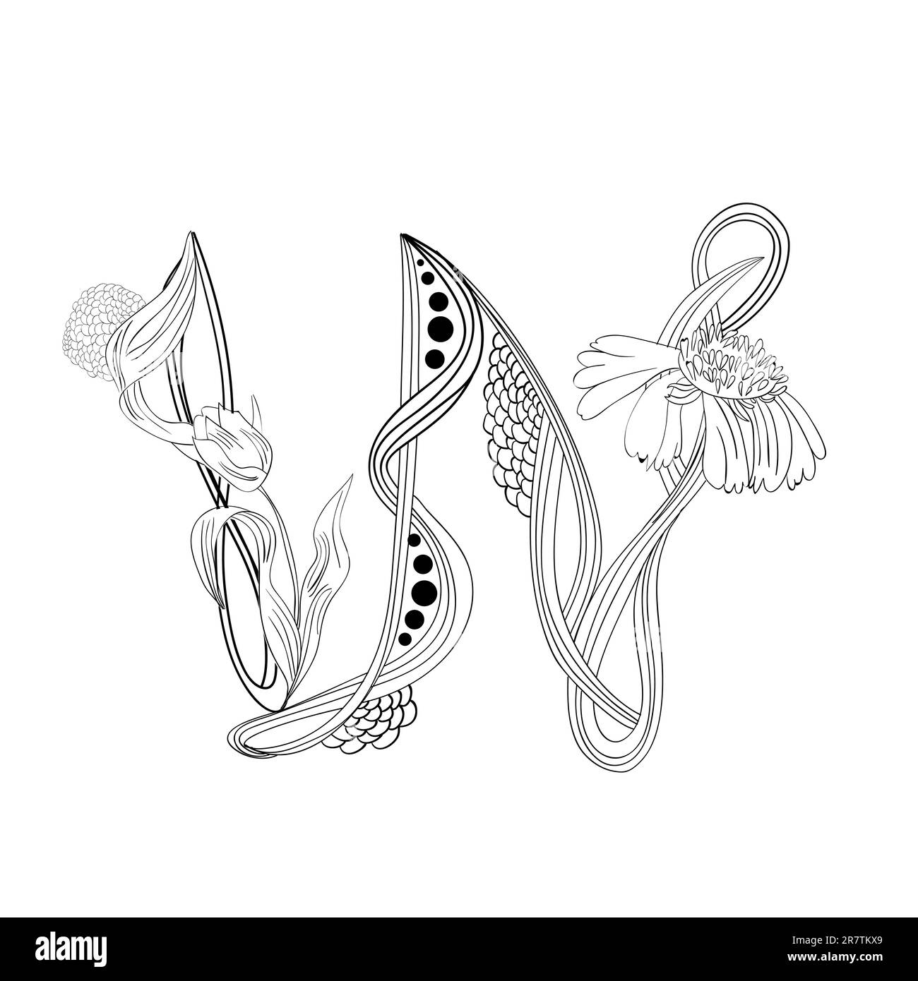 Floral font, Letter W Stock Vector Image & Art - Alamy