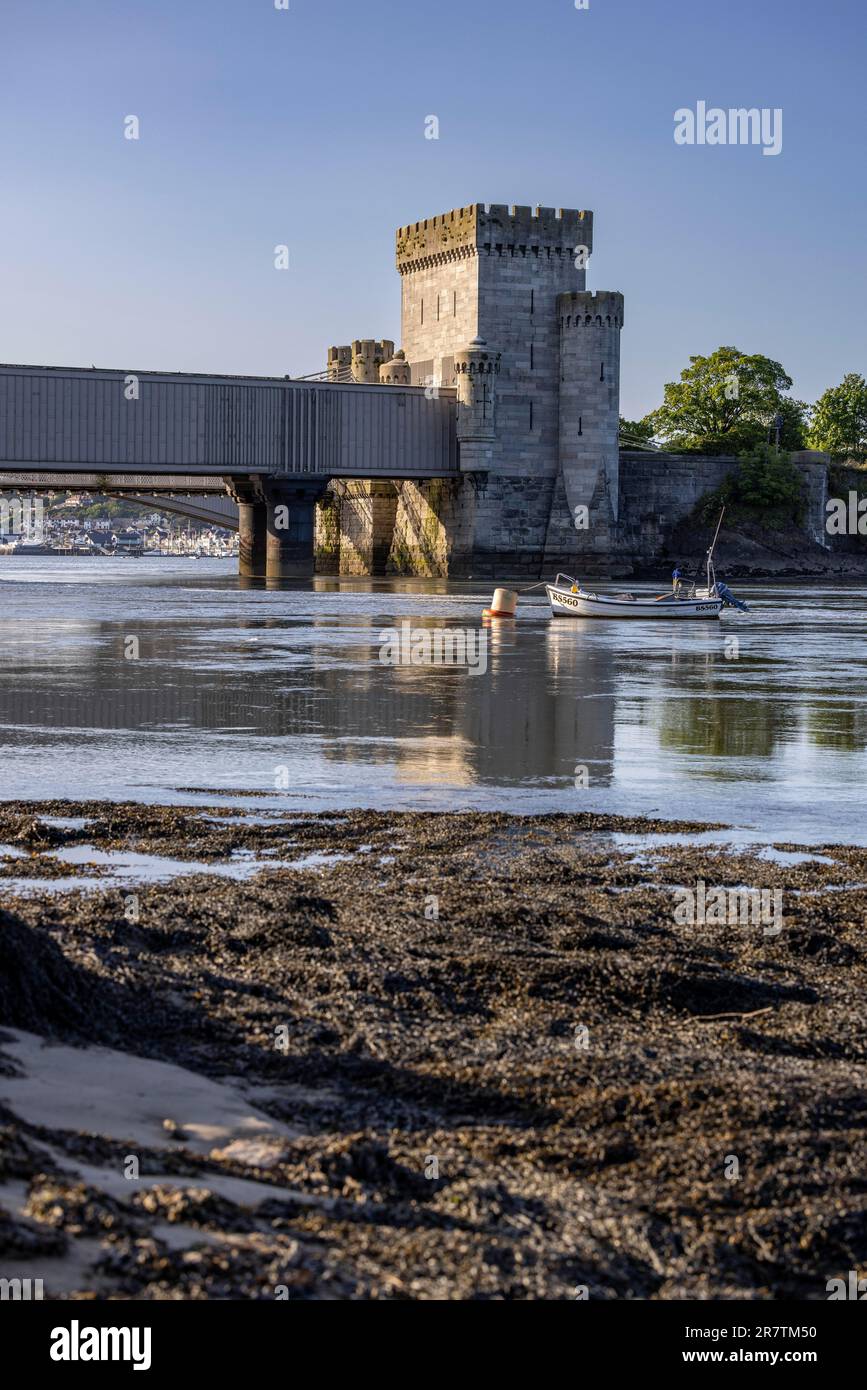 Conwy Castle and Telford Suspension Bridge, ancient castle and ...