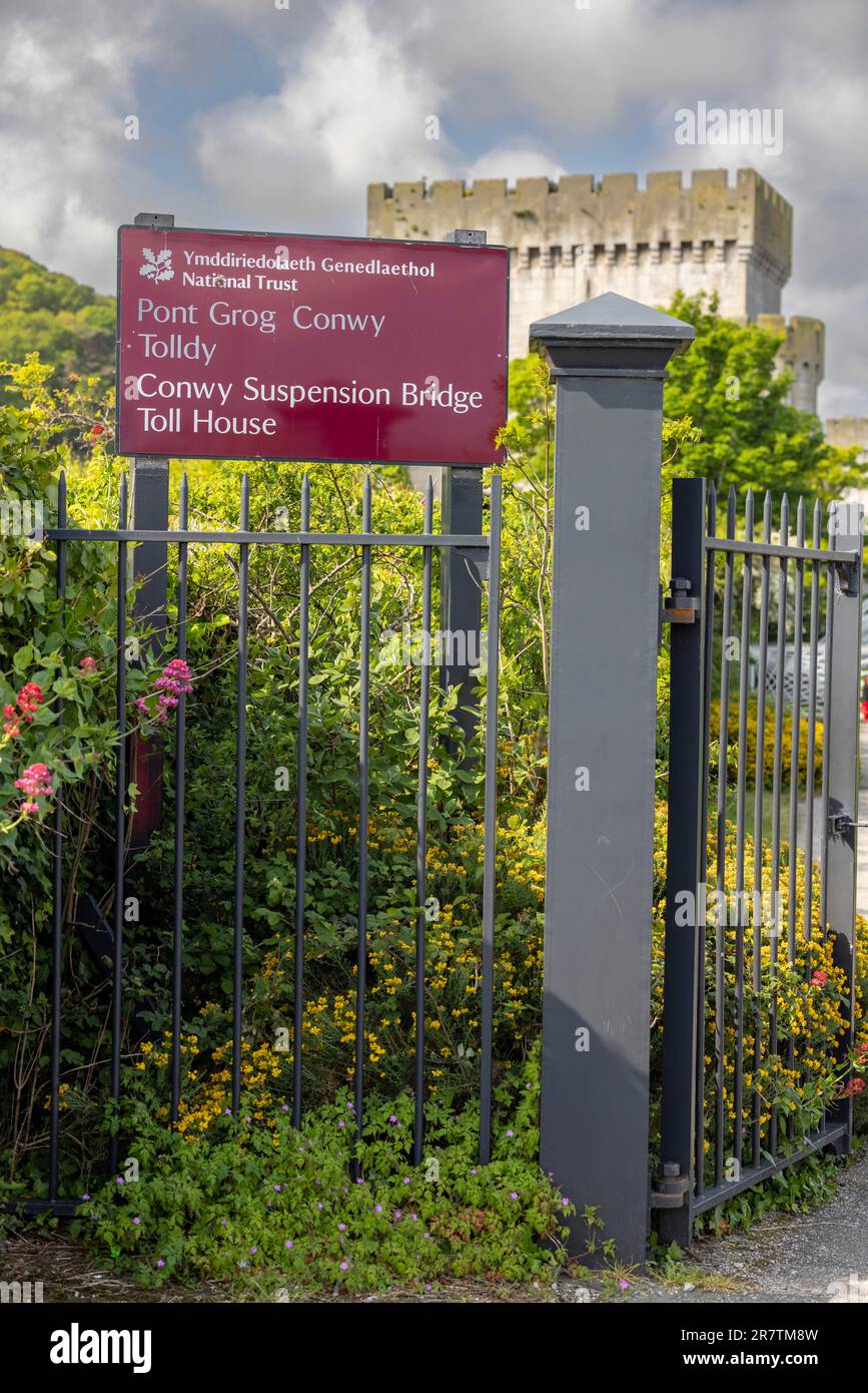 Pont Grog, Conwy Suspension Bridge, National Trust, Conwy, Wales ...