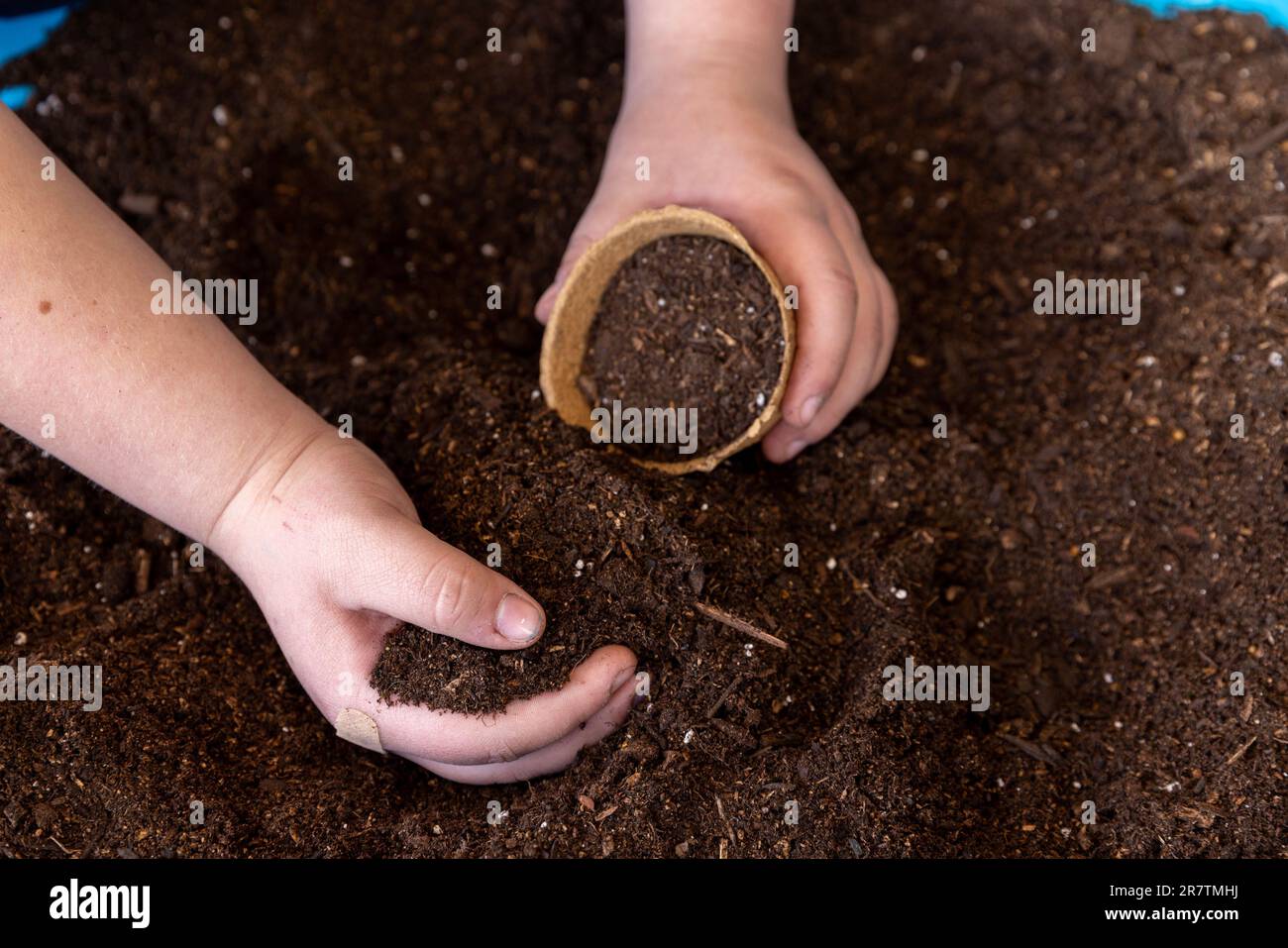 Child's hands scooping soil into a peat pot Stock Photo - Alamy