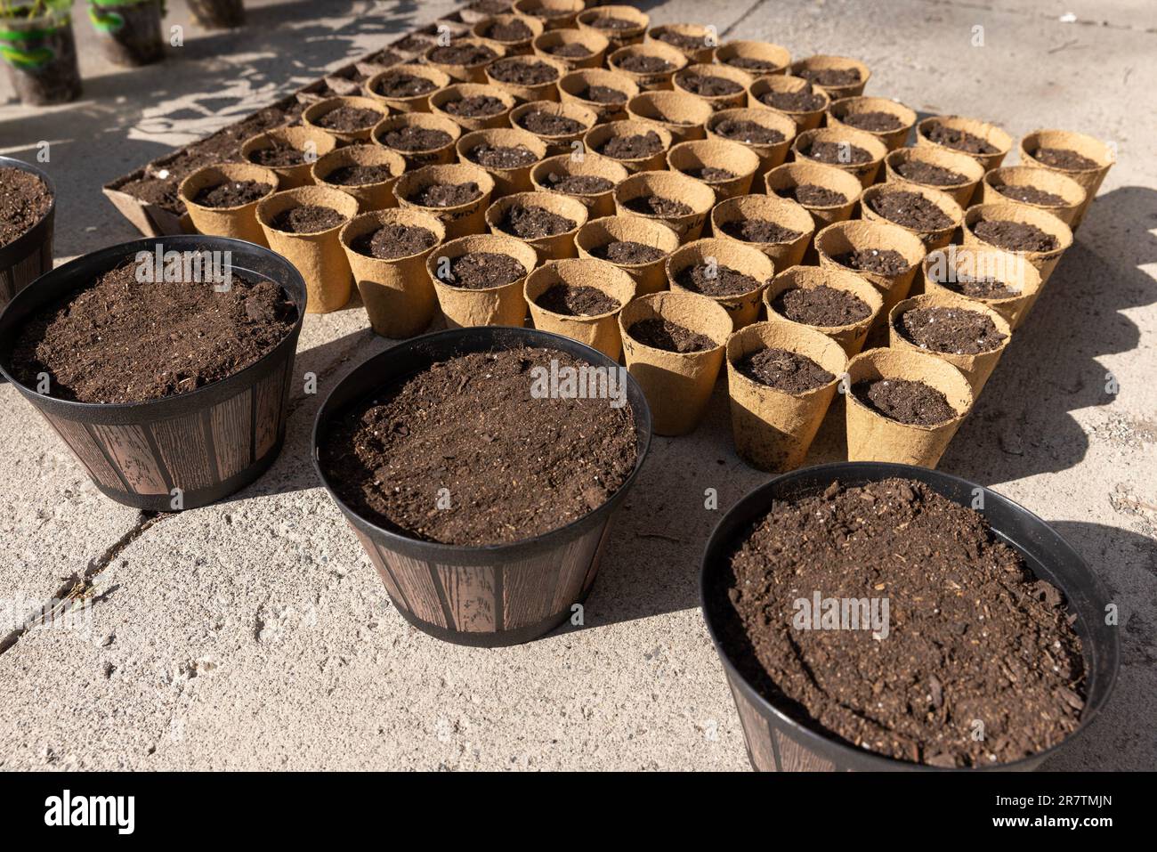 Soil in planting containers and peat pots Stock Photo - Alamy