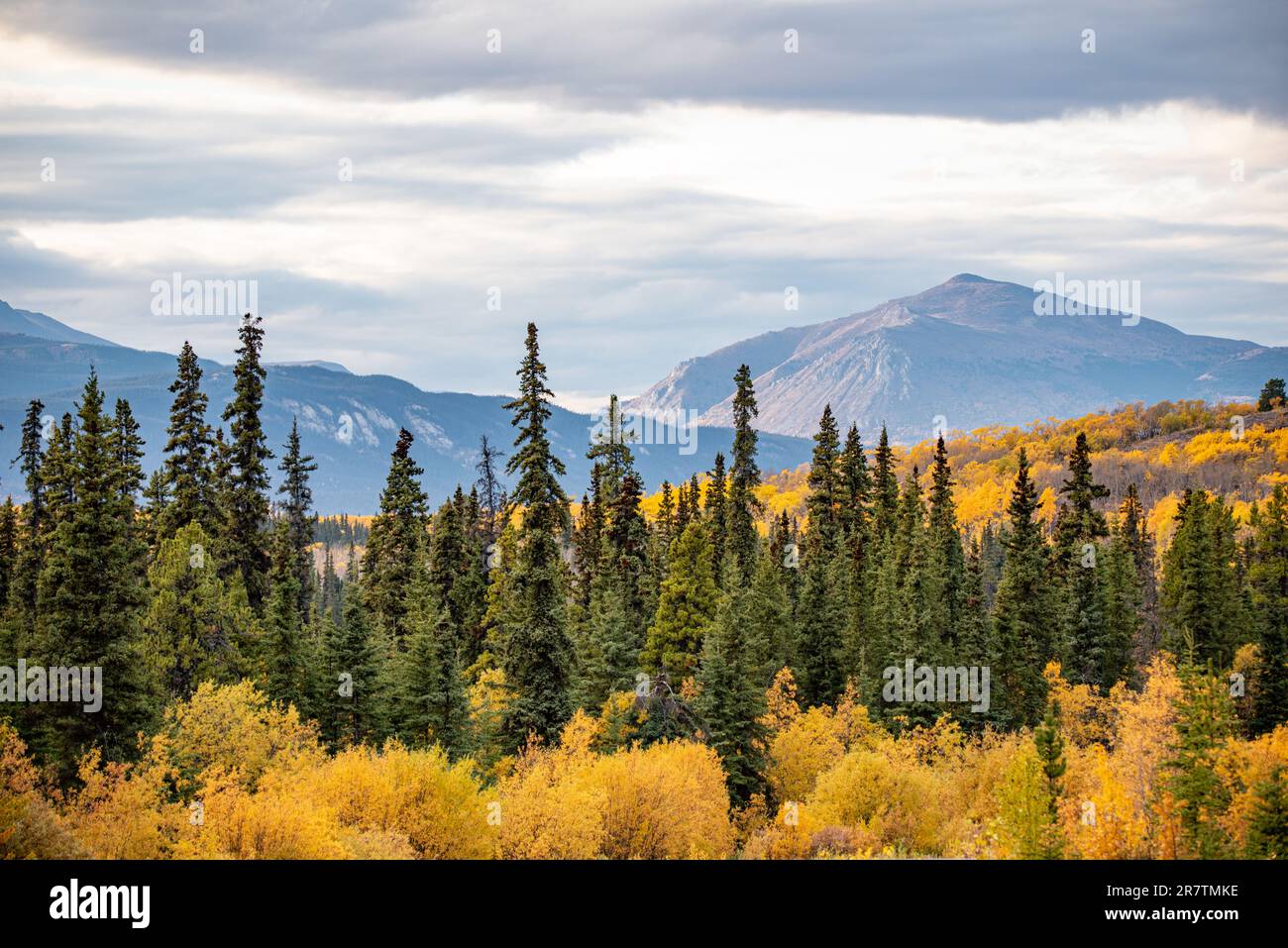 Atlin lake road hi-res stock photography and images - Alamy