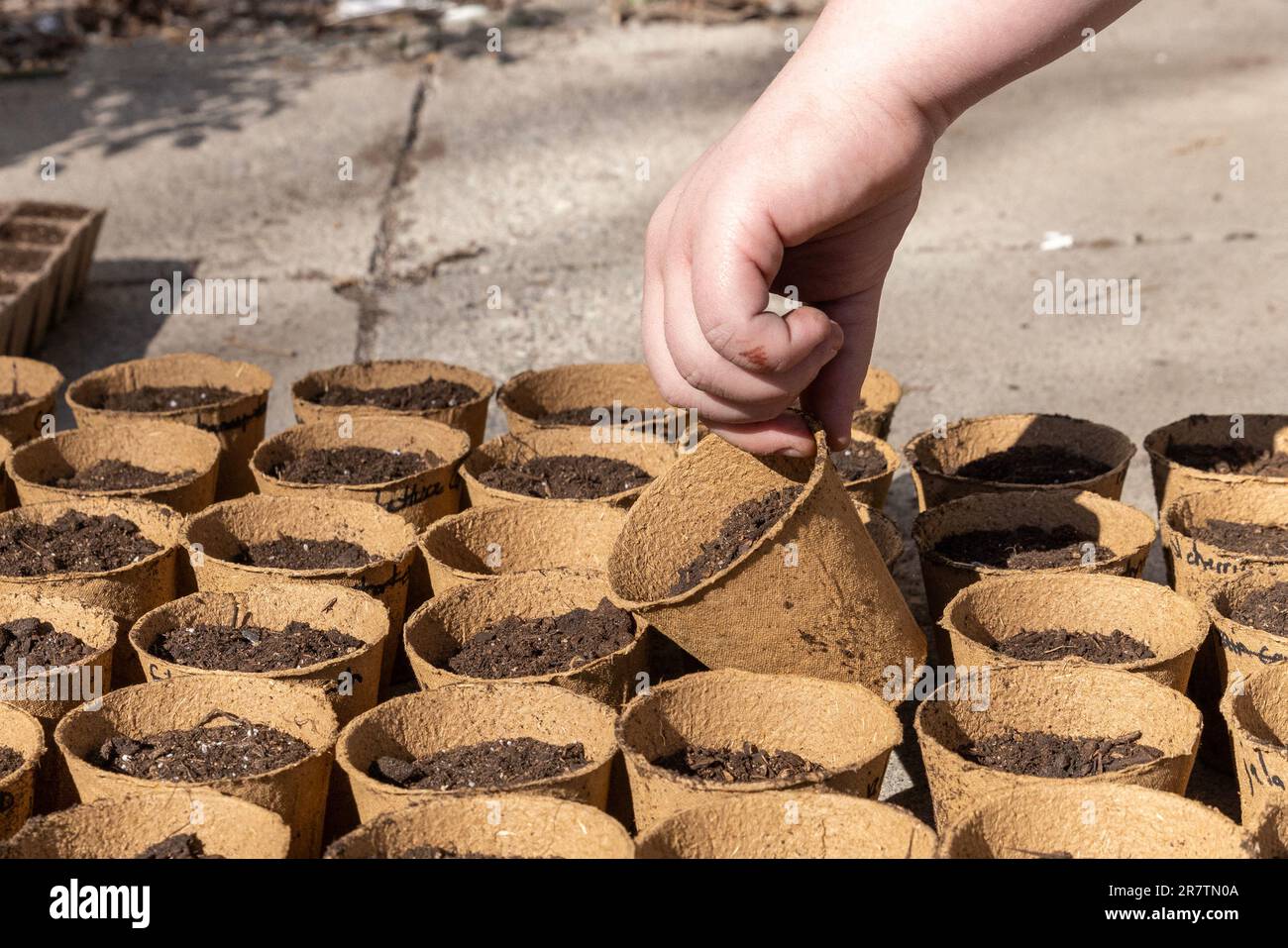 Child pot seeds potting hi-res stock photography and images - Alamy