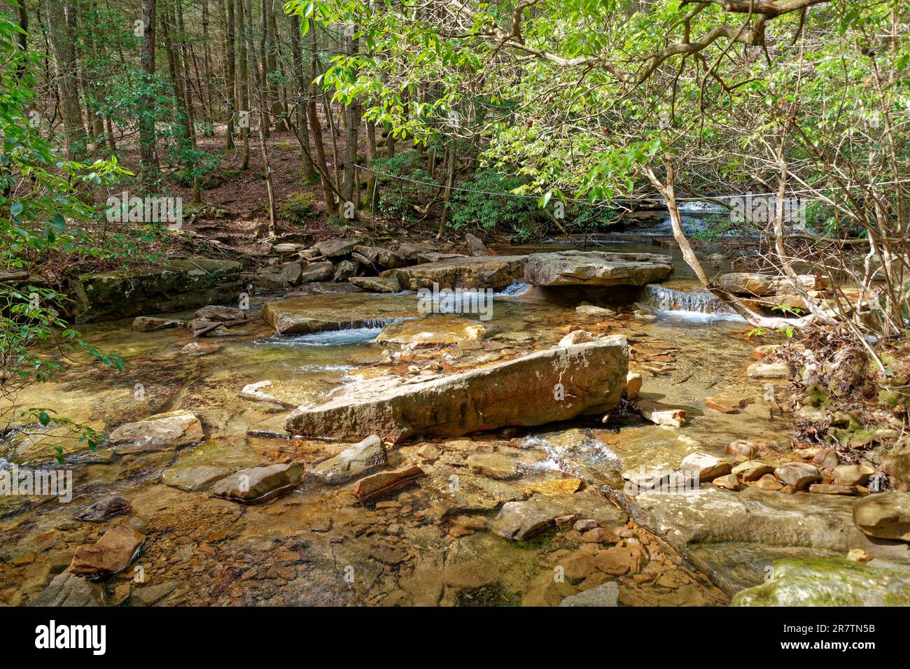 Trail crossing through the creek with a white cable for assistance and ...
