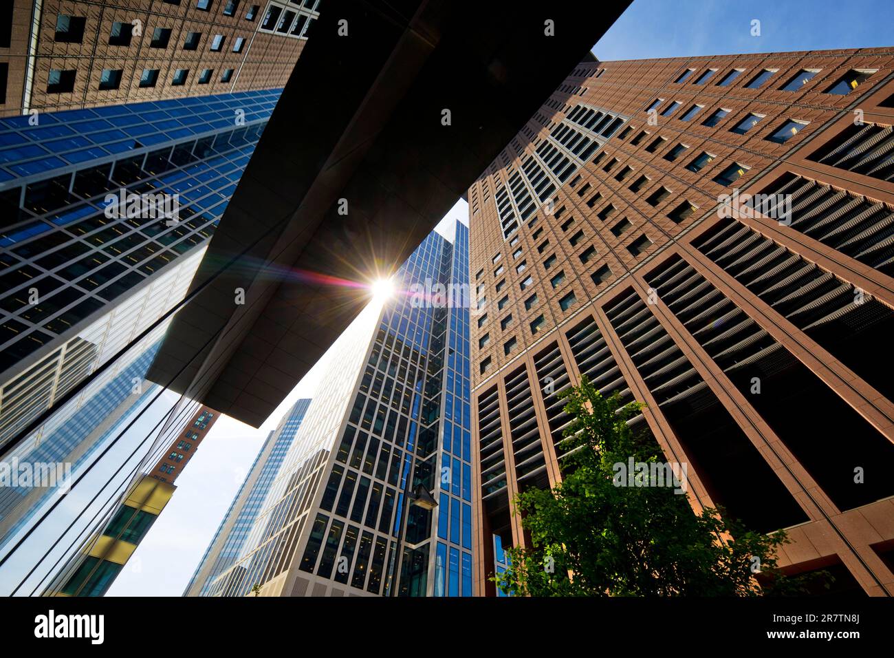 Frog's eye view of high-rise buildings in the banking district ...