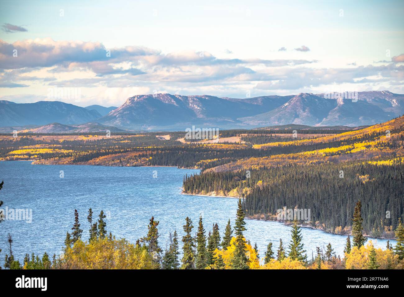 Aerial view of Little Atlin Lake located in Yukon Territory, Northern ...