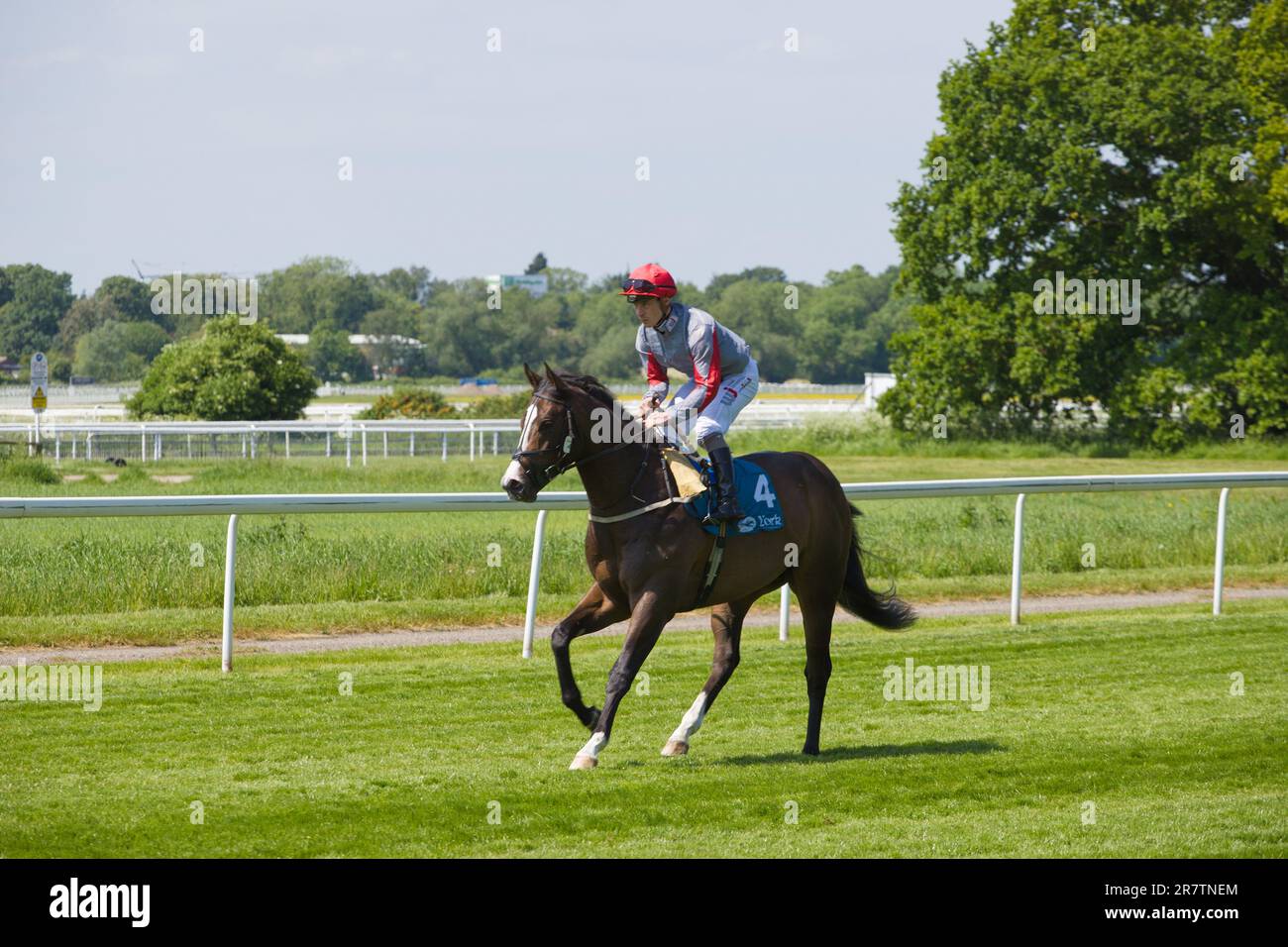 Rowan scott jockey hi-res stock photography and images - Alamy