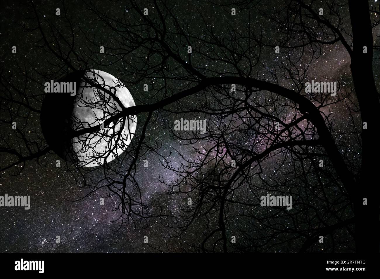 A spooky Halloween themed edit of a leafless tree in the foreground and ...