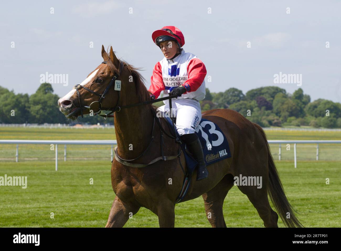 Jockey Amie Waugh on Sound of Iona at York Racecourse Stock Photo - Alamy
