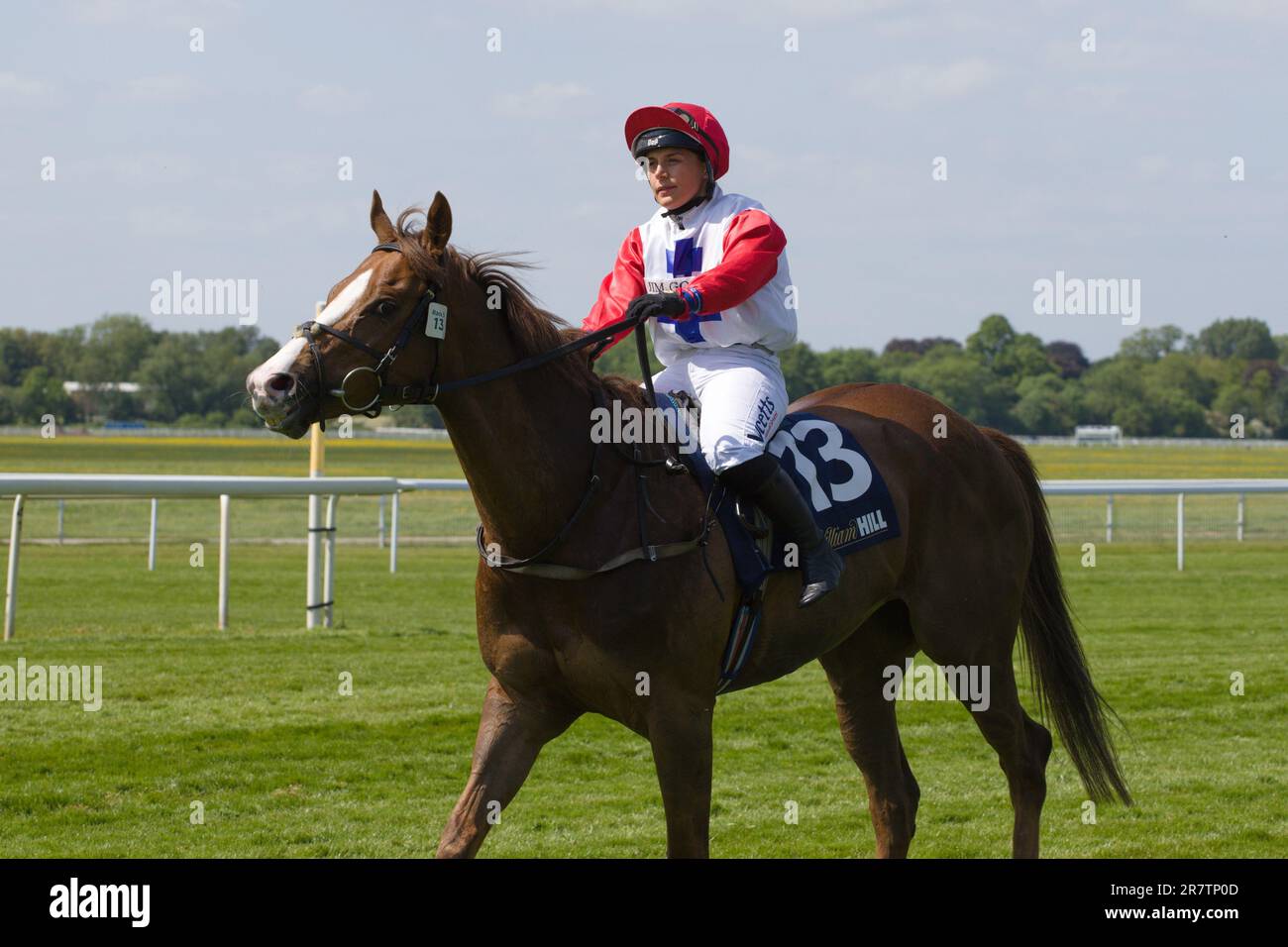 Sound of iona horse hi-res stock photography and images - Alamy