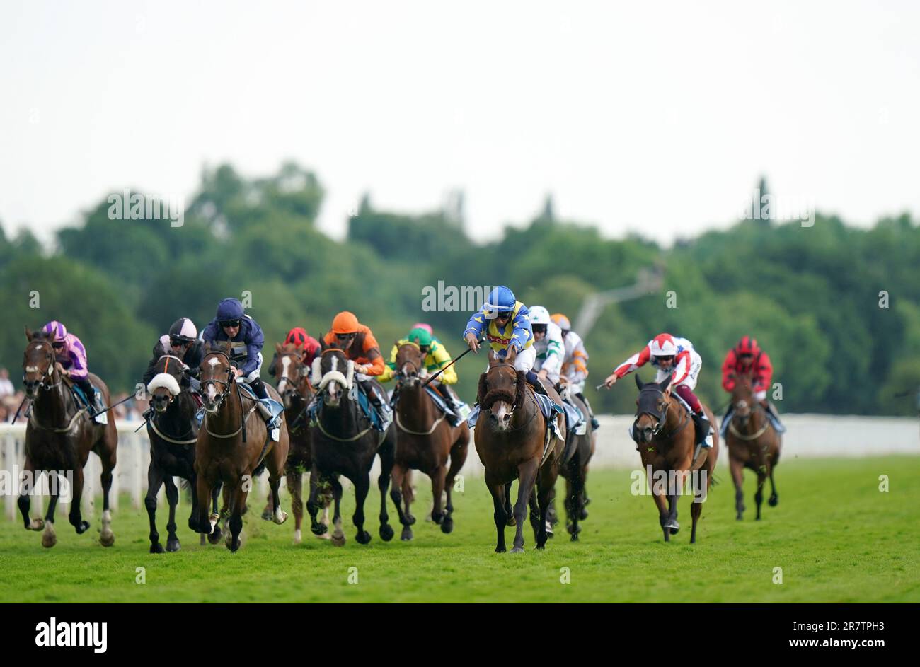 June meeting york racecourse hi-res stock photography and images - Alamy
