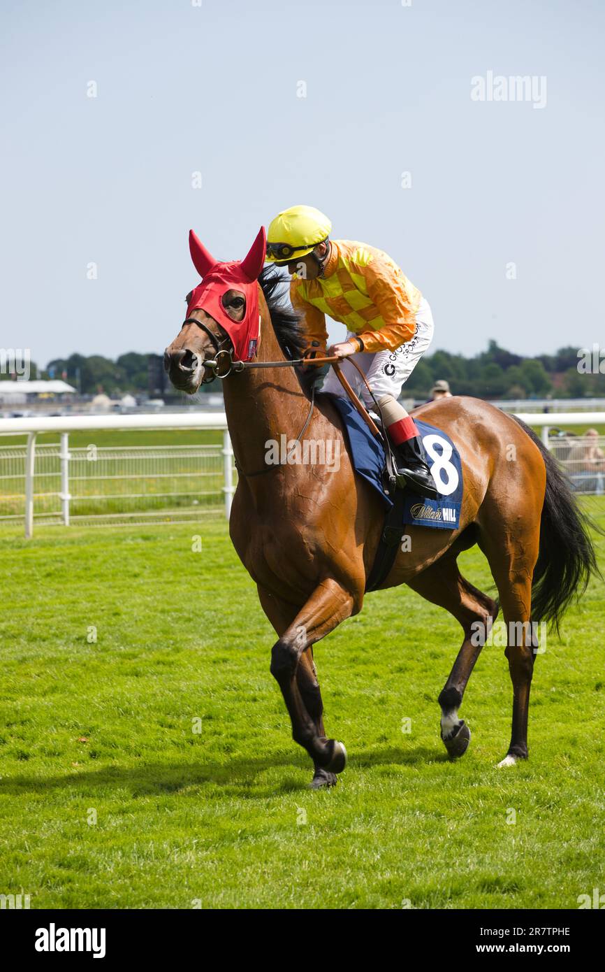 Jockey Andrea Atzeni on Voodoo Queen at York Racecourse Stock Photo - Alamy