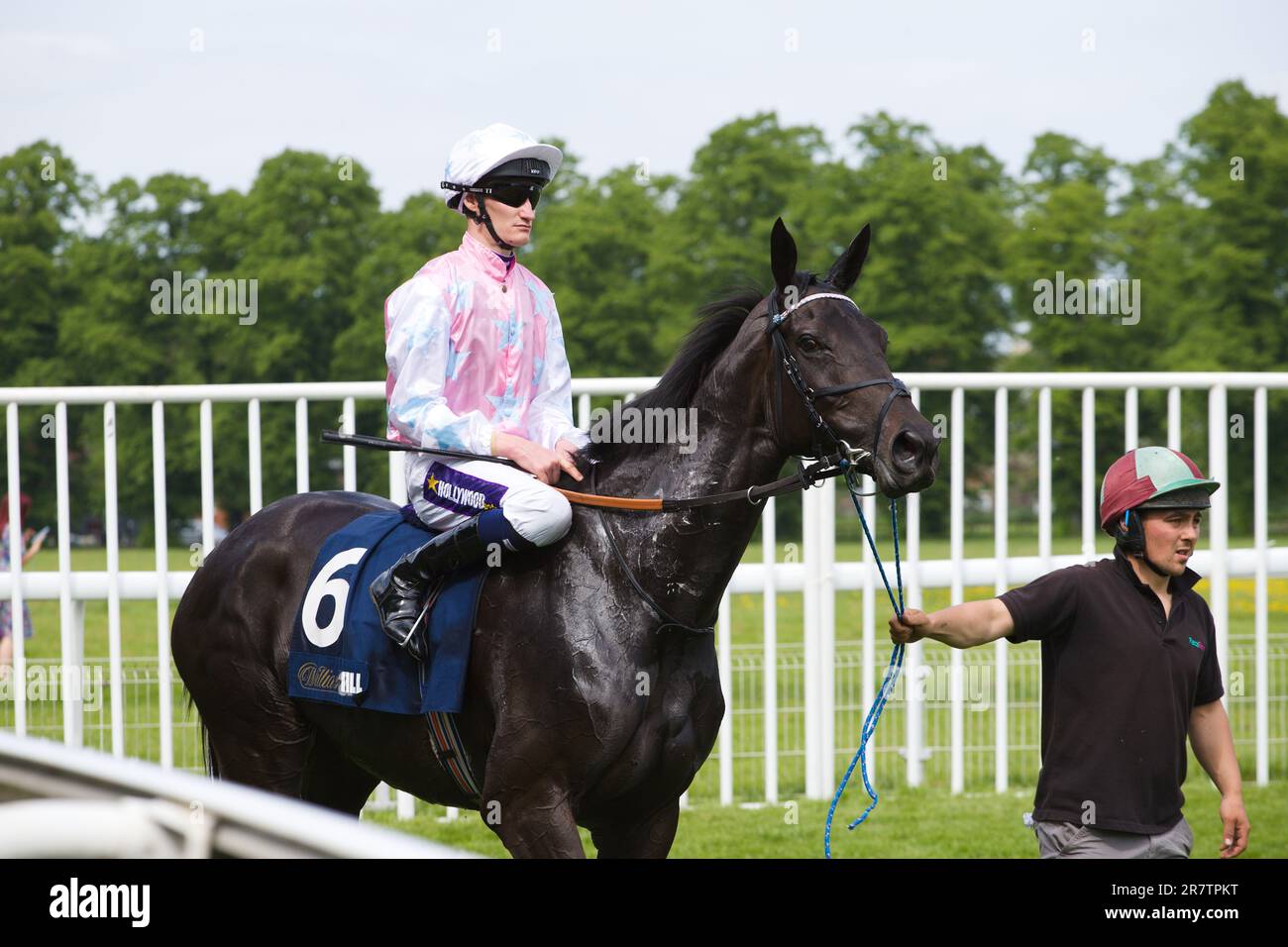 Jockey Daniel Muscutt on Sea Flawless at York Racecourse Stock Photo ...